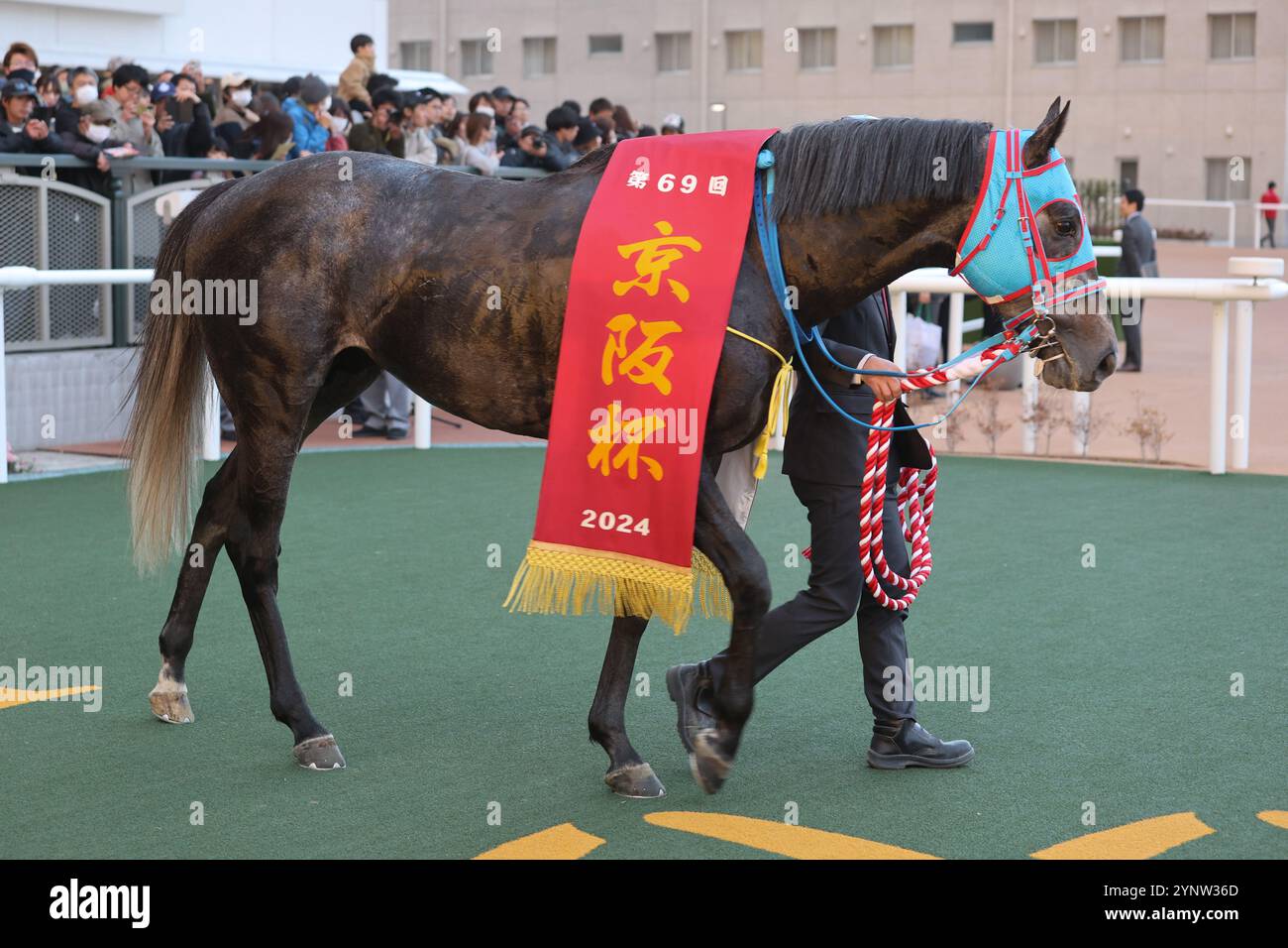 Yuichi kitamura hi-res stock photography and images - Alamy