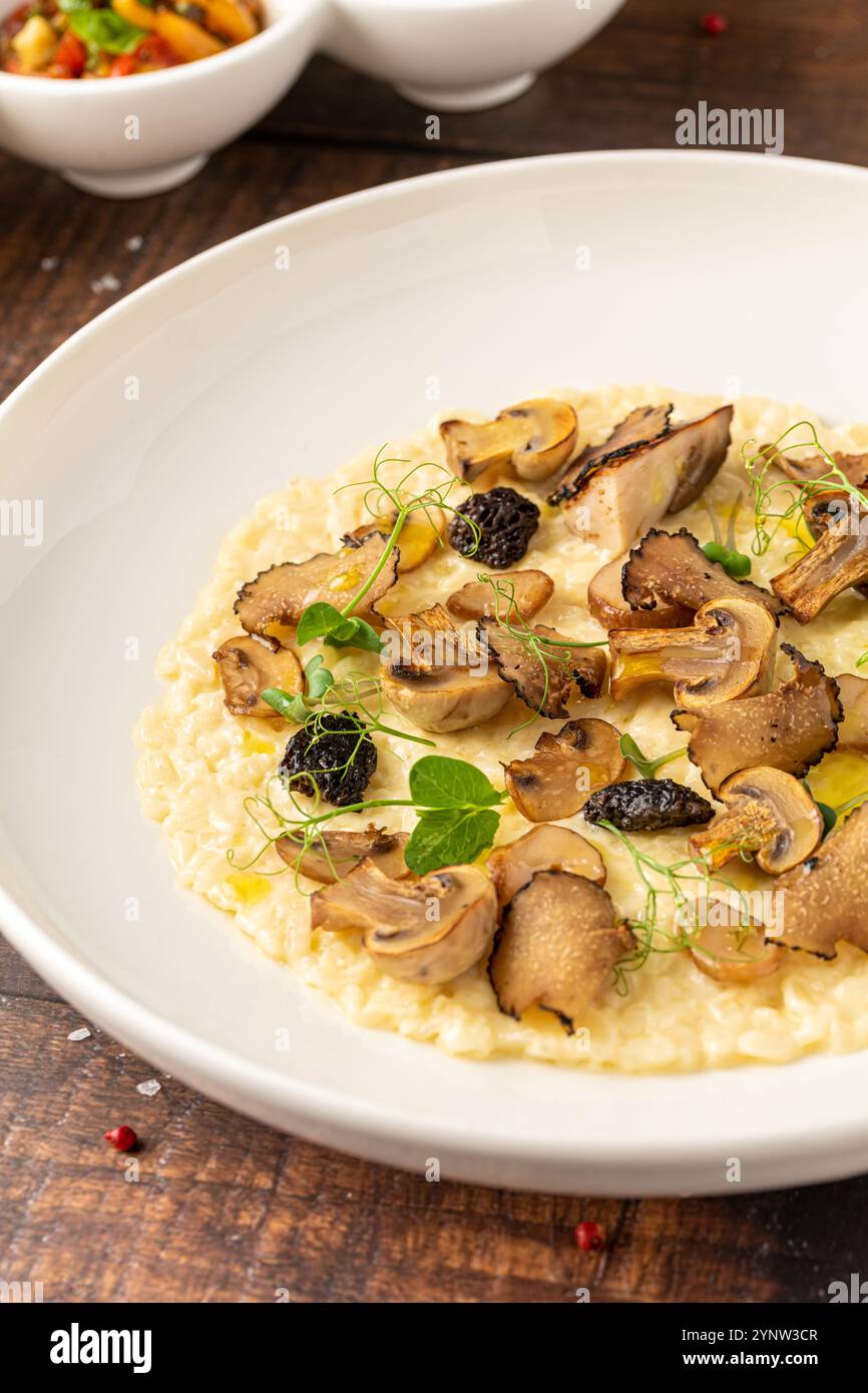 Porcini mushroom risotto in a white porcelain plate, risotto ai funghi ...