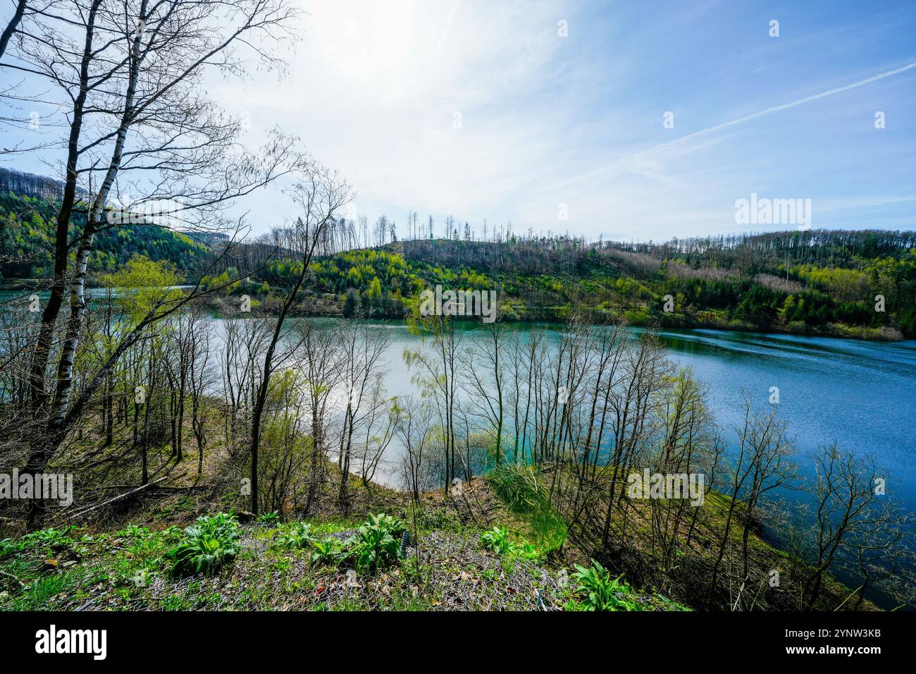 Nature at the Hasper Dam near Hagen in the Ruhr area Stock Photo - Alamy