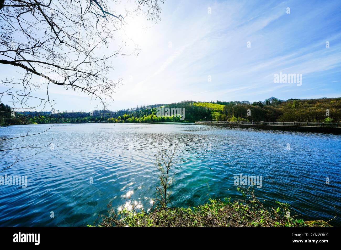 Nature at the Hasper Dam near Hagen in the Ruhr area Stock Photo - Alamy