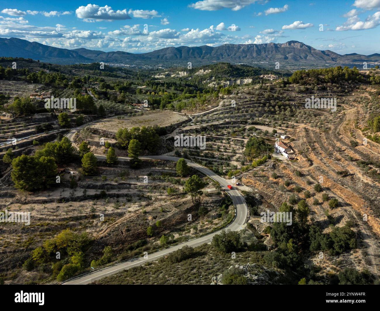 Aerial photo of a road through the olive trees, Costa Blanca, Alicante ...