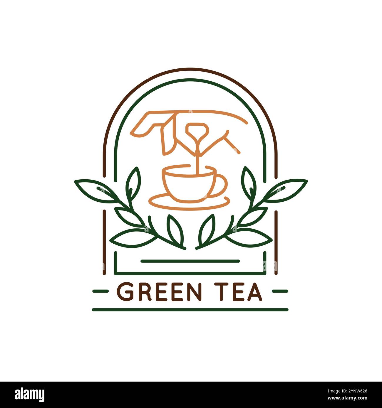 Green tea leaves brewing Cut Out Stock Images & Pictures - Alamy