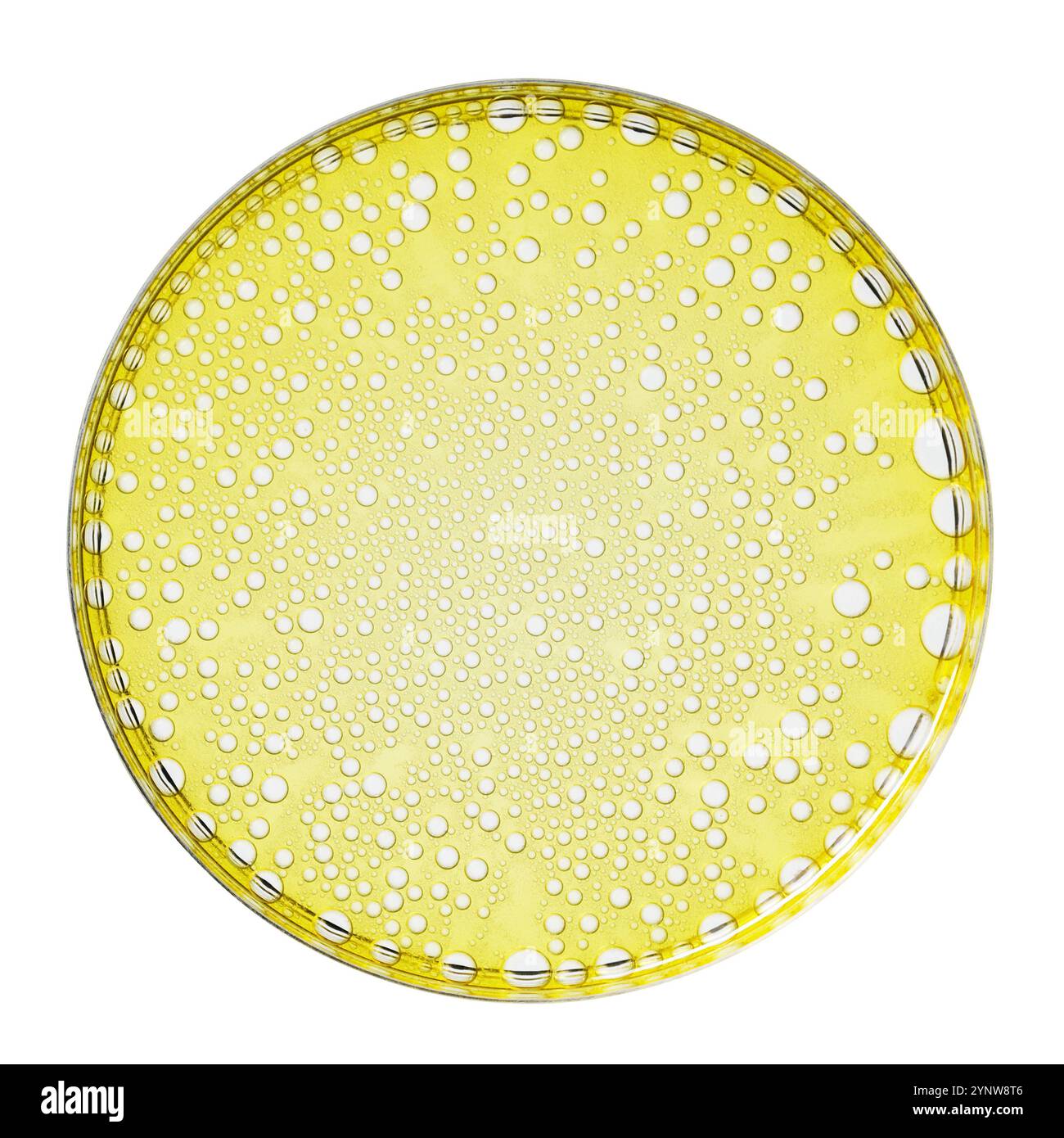 Petri dish with yellow serum oil sample swatch texture isolated on ...