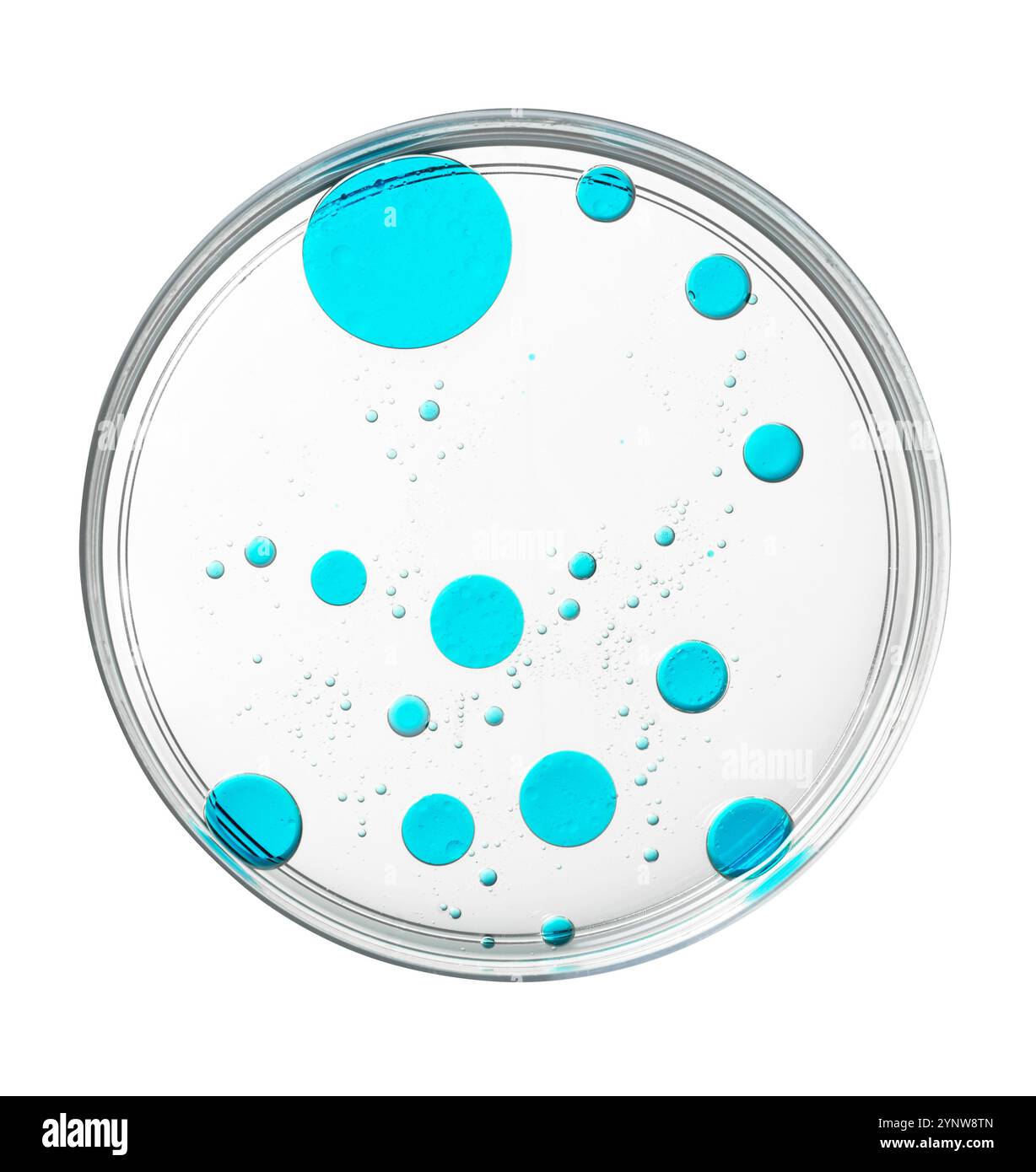 Petri dish with blue serum oil sample swatch texture isolated on white ...