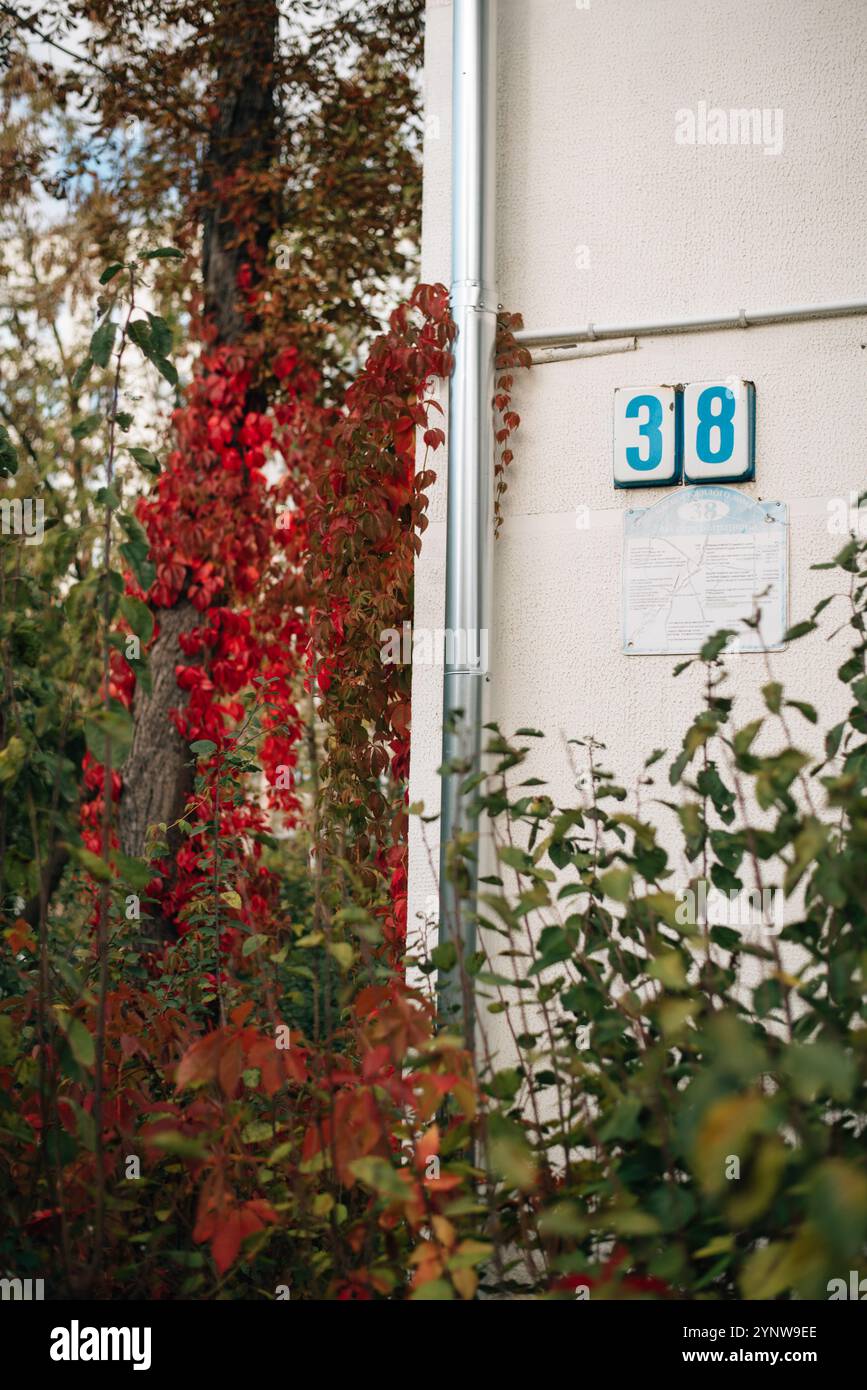tree wrapped in a red cloak Stock Photo - Alamy