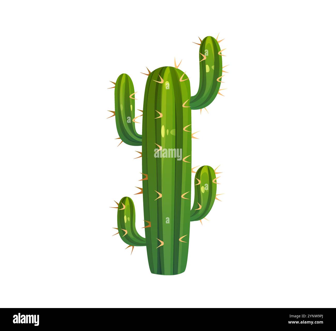 Cartoon saguaro cactus with prominent spikes. Isolated vector tall ...