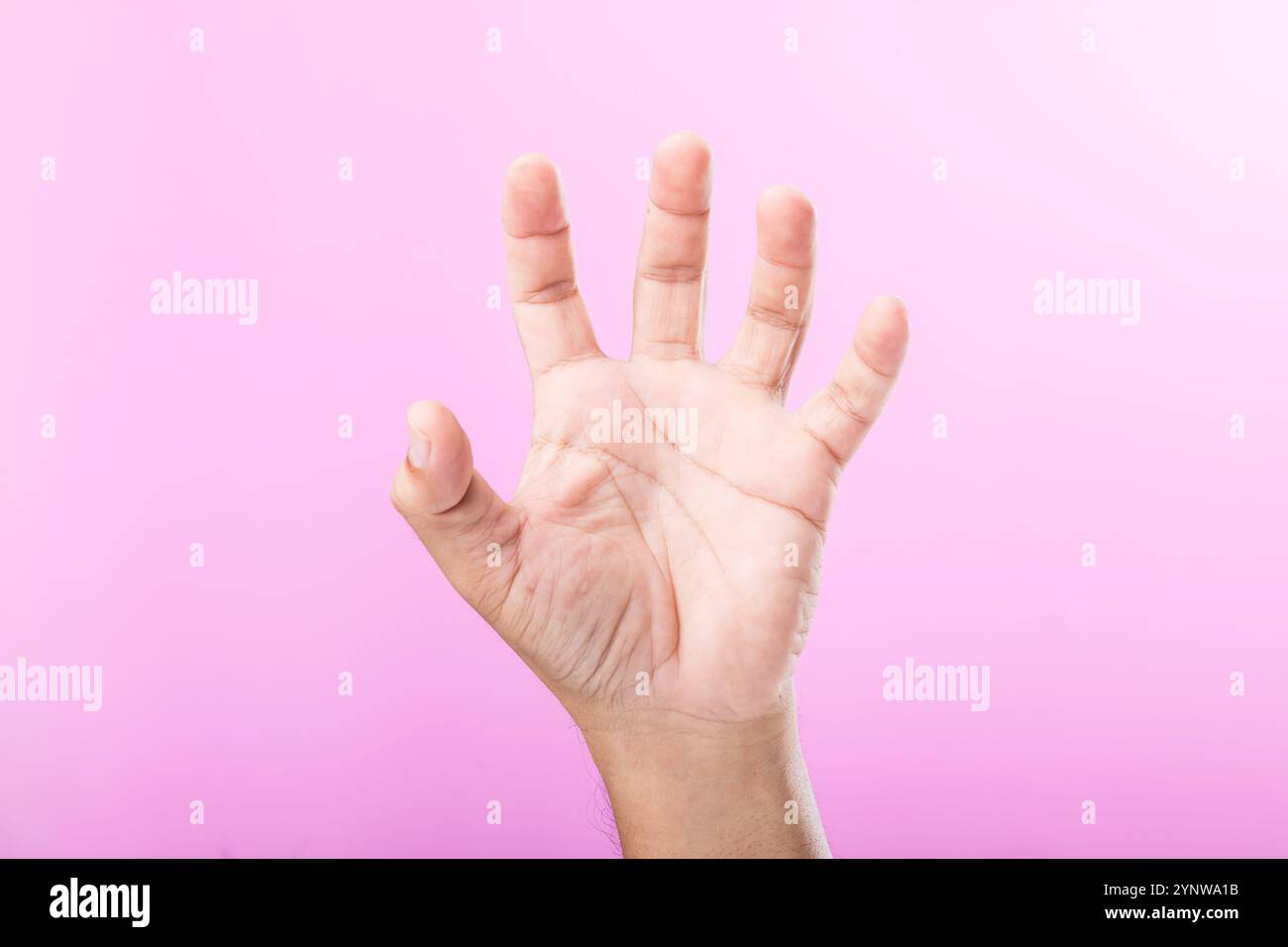 Hand displays various gestures, including a fist, open palm, and raised ...