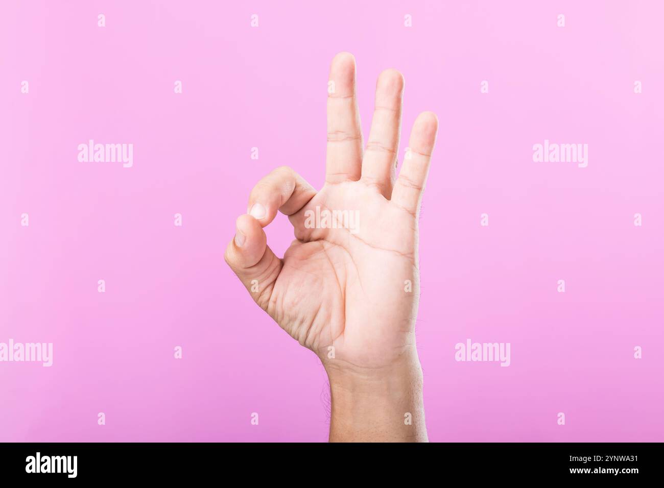 Hand displays various gestures, including a fist, open palm, and raised ...