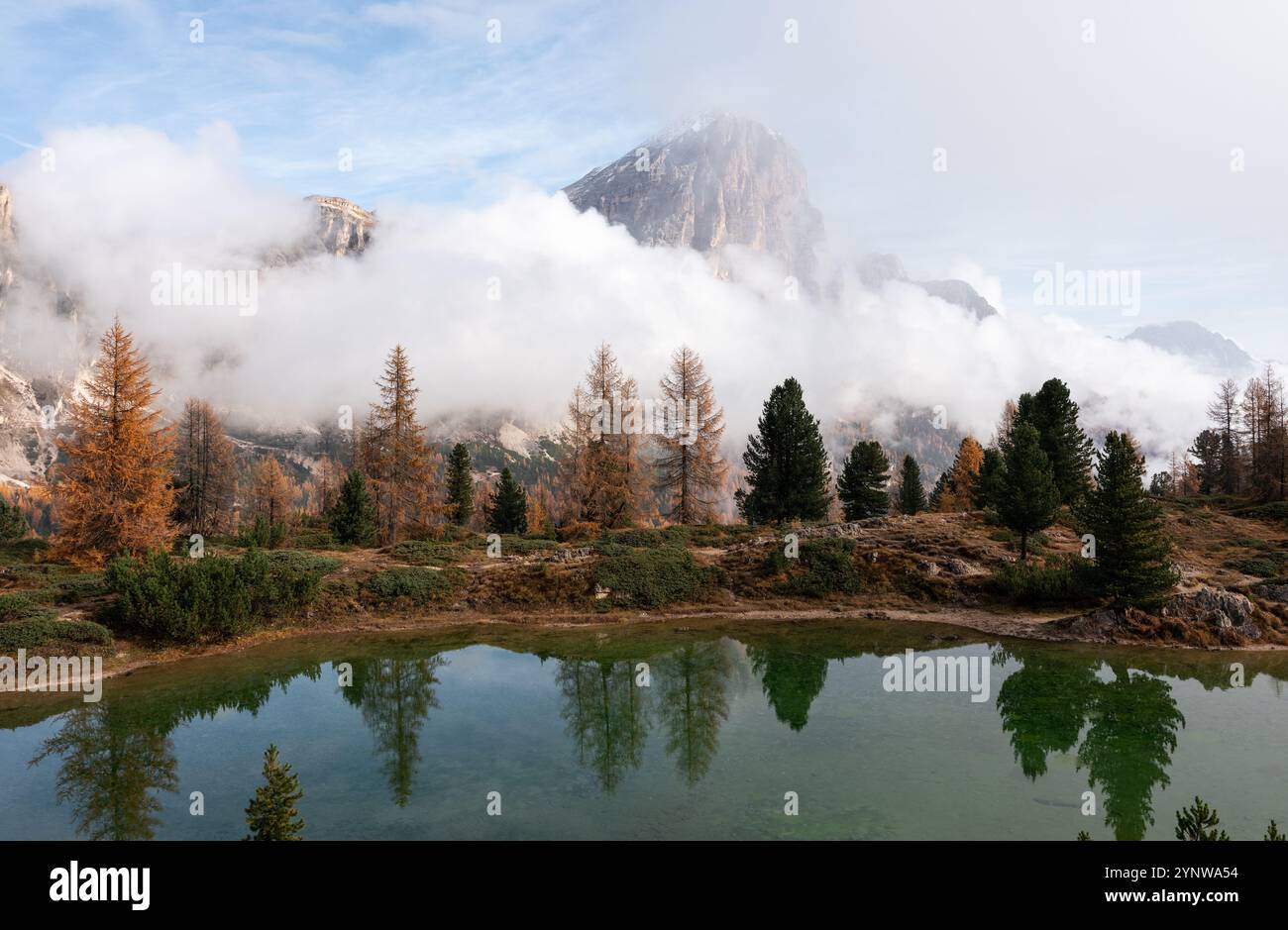 Autumn larch trees reflected in Lago Limides in the Italian Dolomites ...