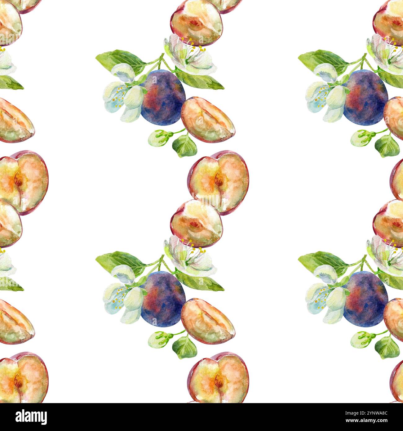 Seamless border of the plums branch with leaves and flowers on an ...