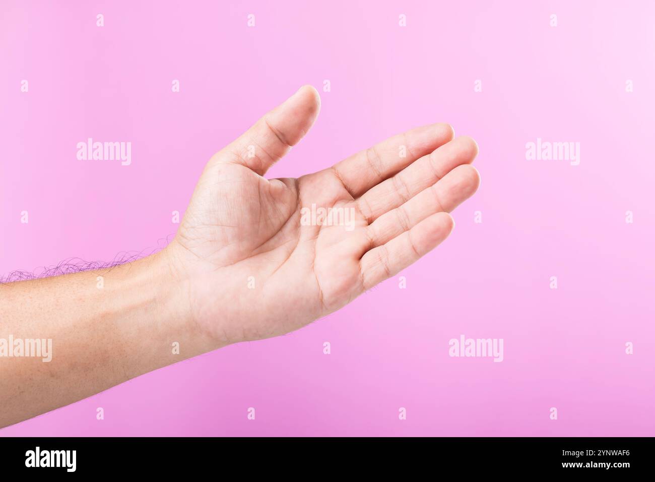Hand displays various gestures, including a fist, open palm, and raised ...