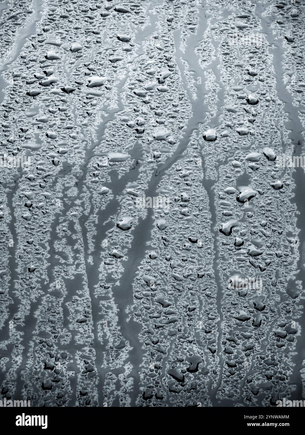 Water drops on car bonnet hi-res stock photography and images - Alamy