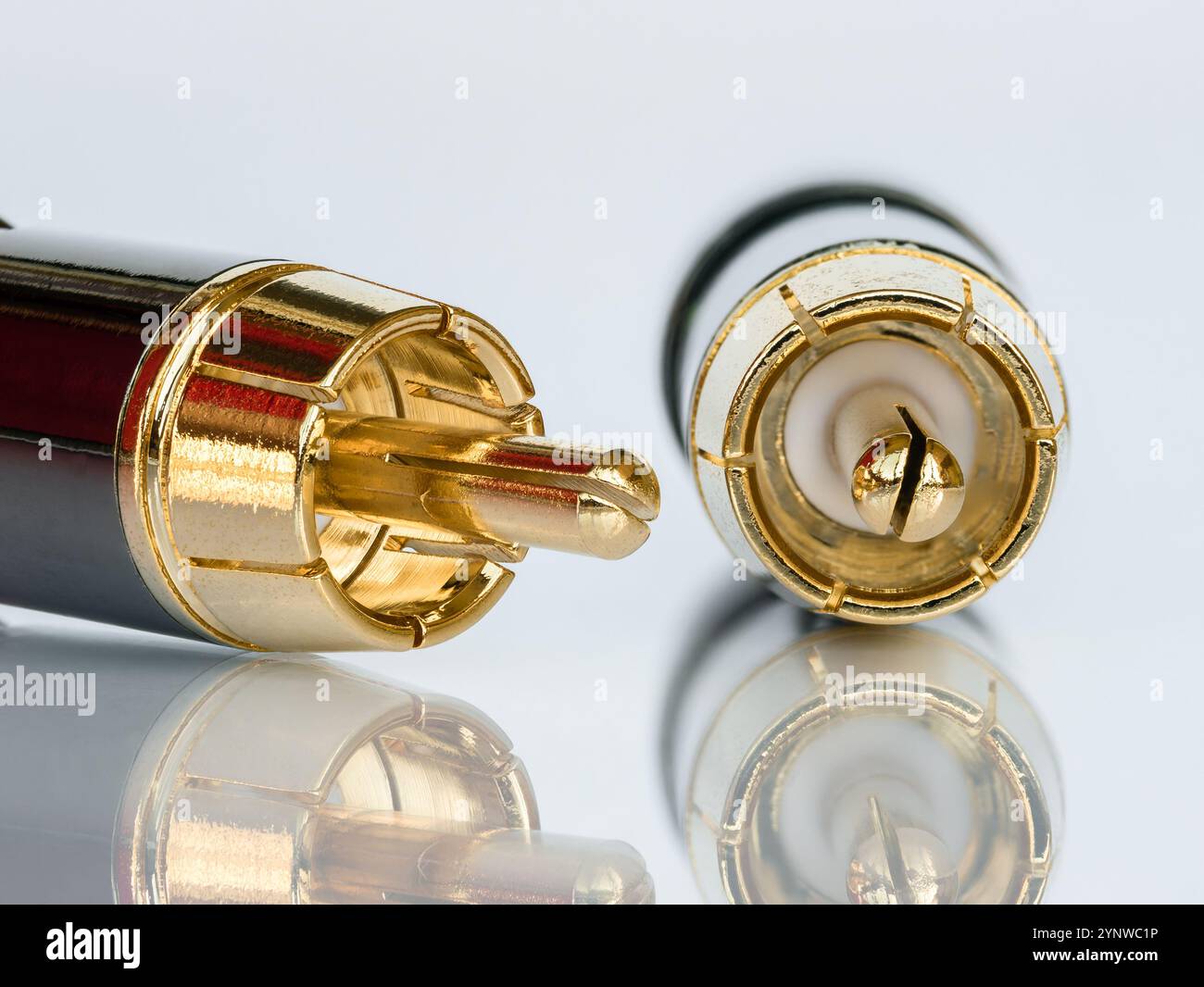 Macro photo of audiophile gold plated RCA connector tips isolated on ...