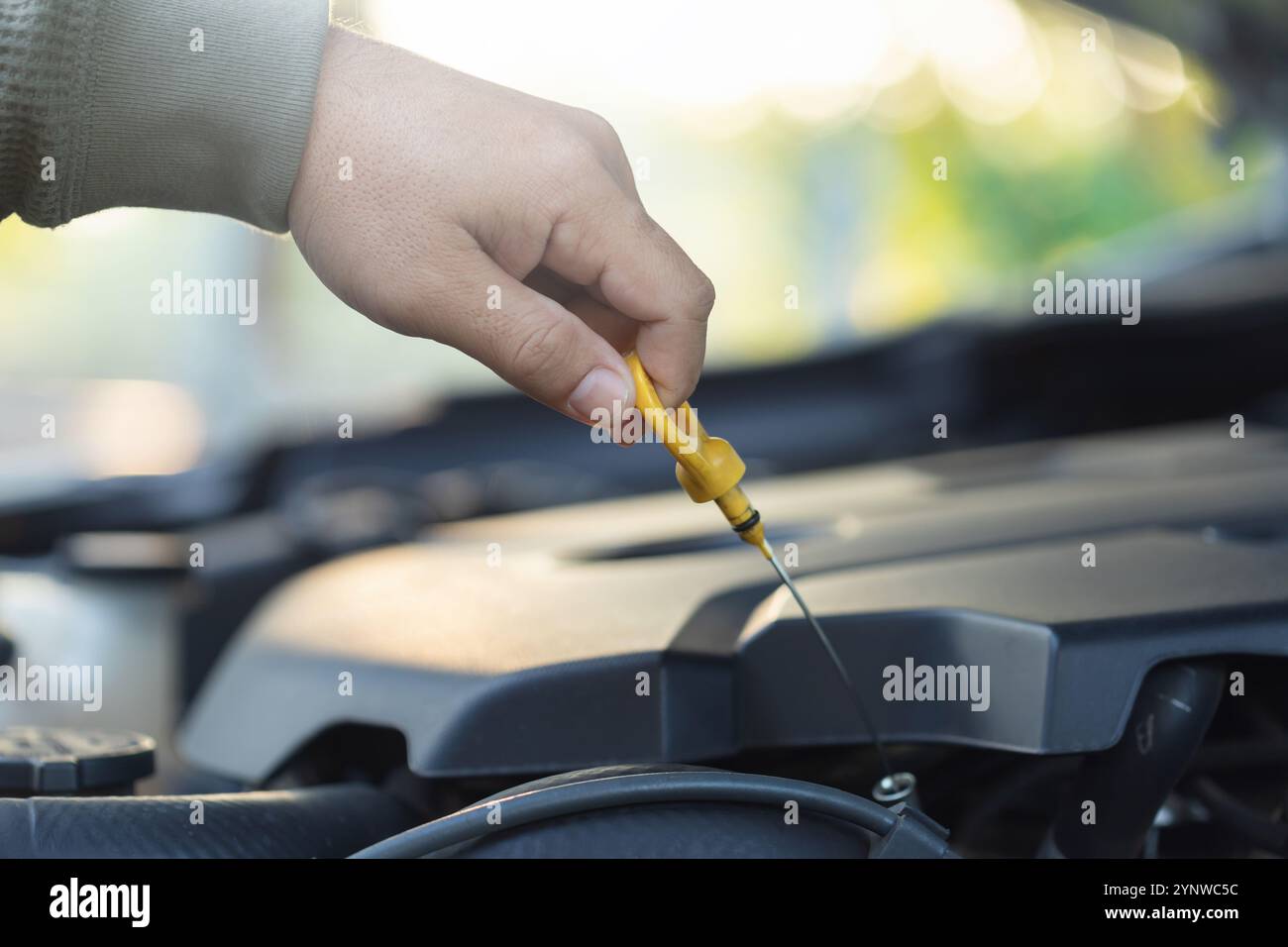 A car owner pulls out the dipstick to check engine oil levels, highlighting the importance of ...