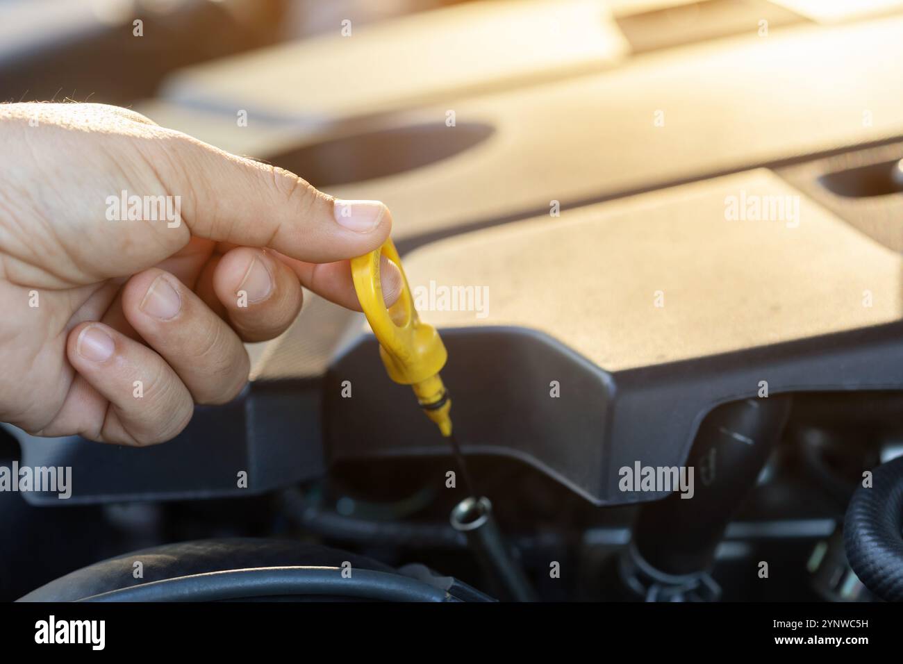 A car owner pulls out the dipstick to check engine oil levels, highlighting the importance of ...