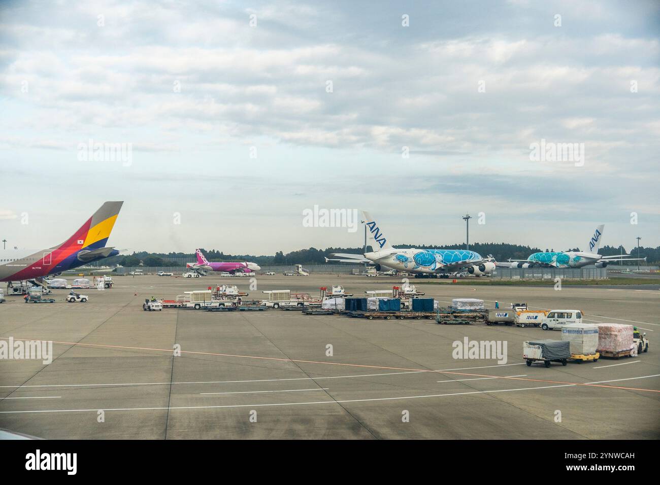 Travelers observe a lively airport scene filled with vibrant aircraft ...