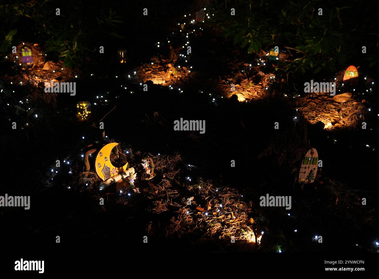 Fairy doors are illuminated on the woodland floor during Luminate ...