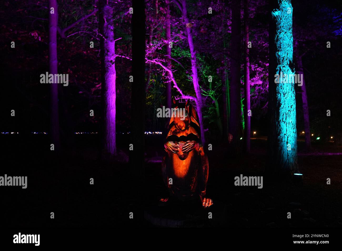 A squirrel sculpture illuminated during Luminate Sandringham, the ...