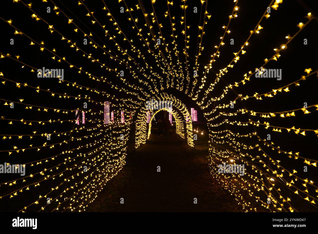 Tunnels of fairy lights during Luminate Sandringham, the Sandringham ...