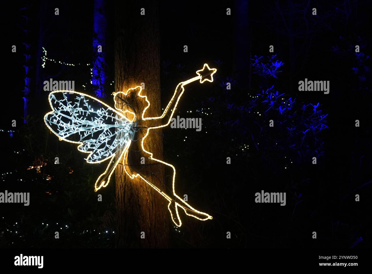 A fairy is illuminated during Luminate Sandringham, the Sandringham ...