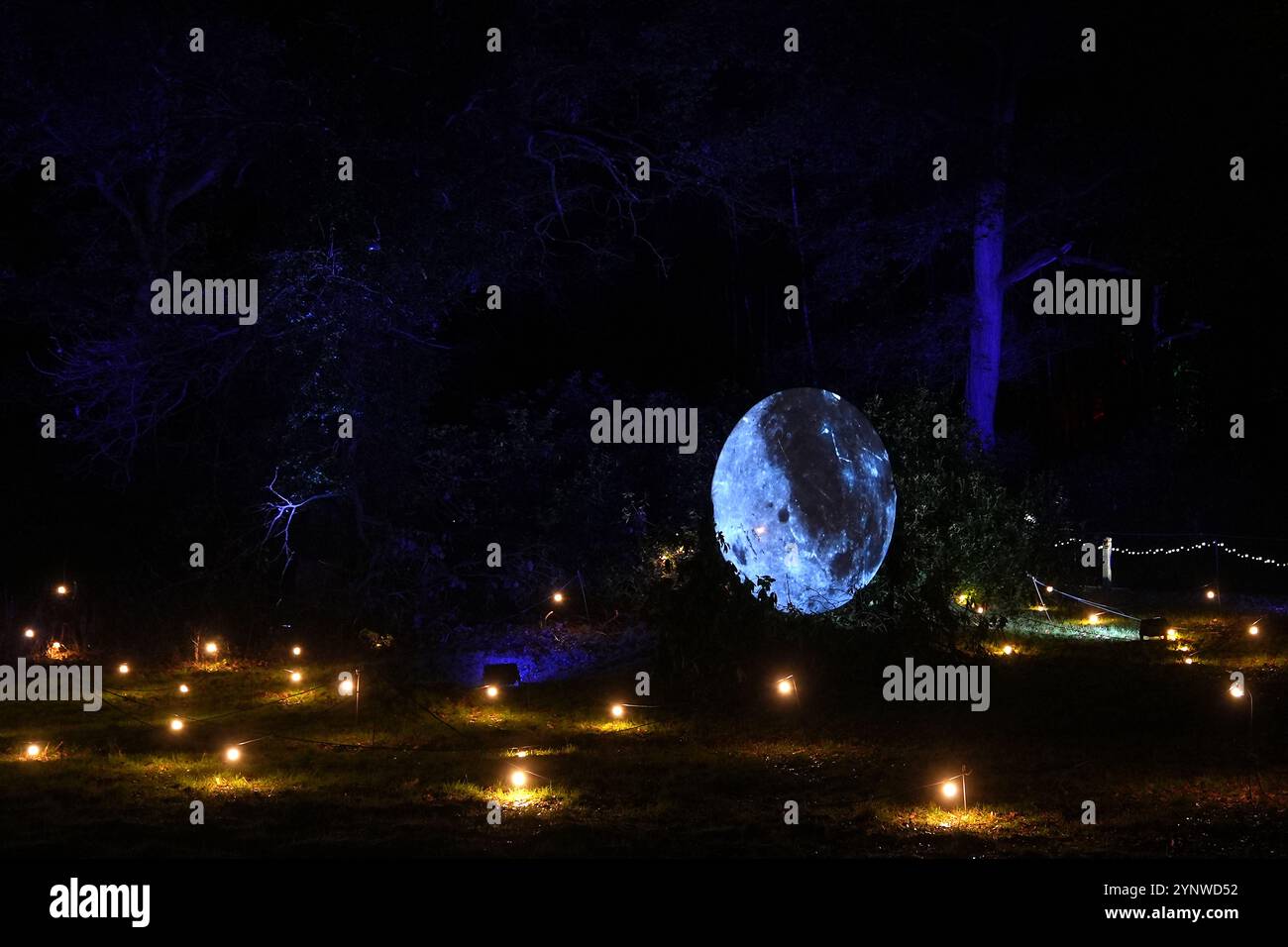 An illumination of the moon during Luminate Sandringham, the ...