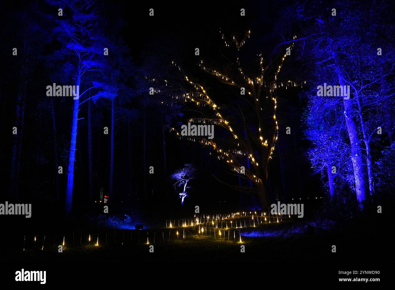 The luminate winter light trail hi-res stock photography and images - Alamy