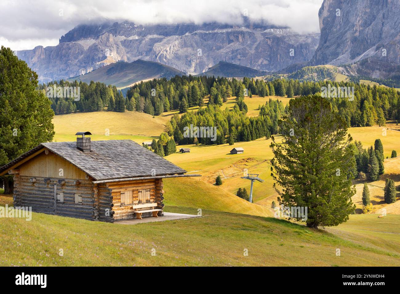 Dolomites Alpe di Siusi, Italy beautiful scenery, natural autumn ...