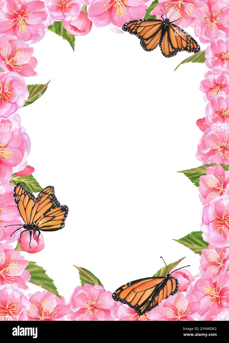 Rectangular frame with pink Sakura blossoms, green leaves and Monarch ...