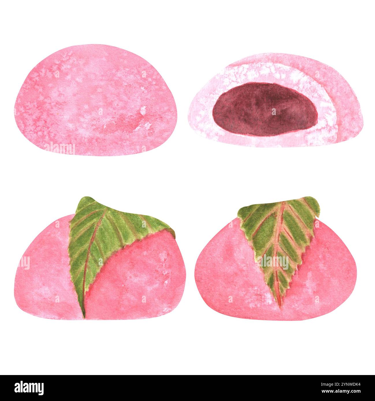 Simple pink mochi desserts and covered with Sakura leaves. Hand-drawn ...