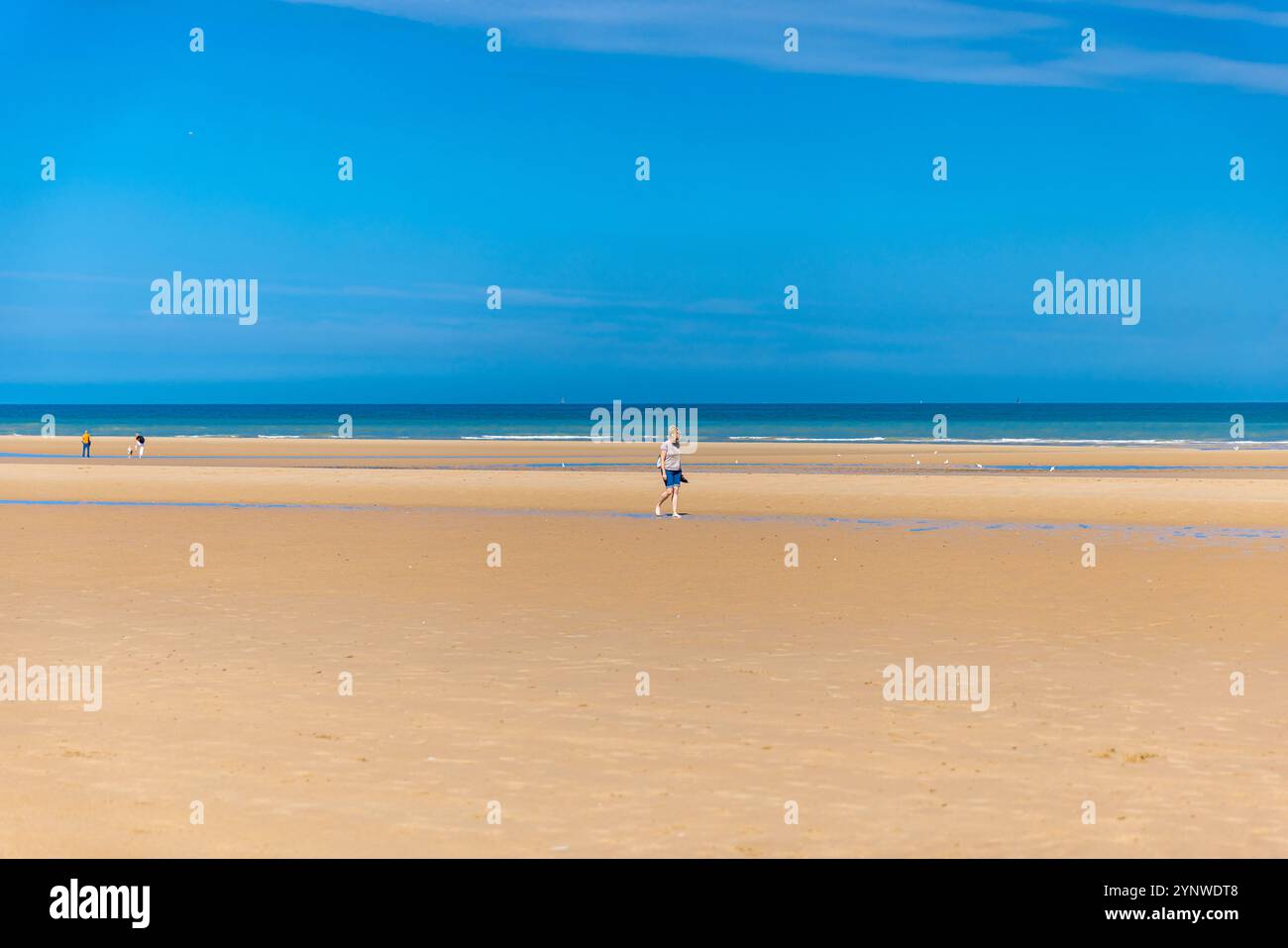 Omaha Beach, Normandy, France, D Day Landings, Overlord Stock Photo - Alamy