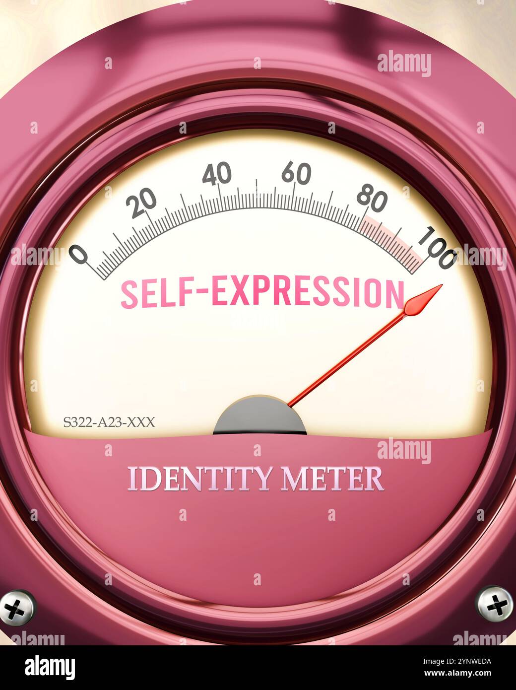 Self-Expression and Identity Meter that is hitting a full scale ...