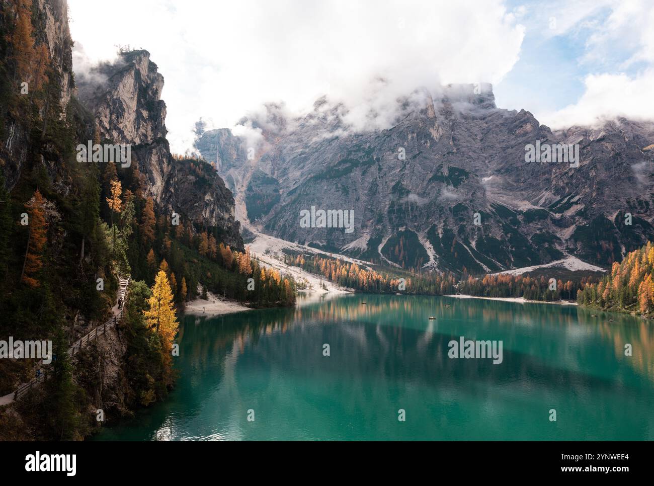 Sunlight illuminates a larch tree on the shores of lago di braies in an ...