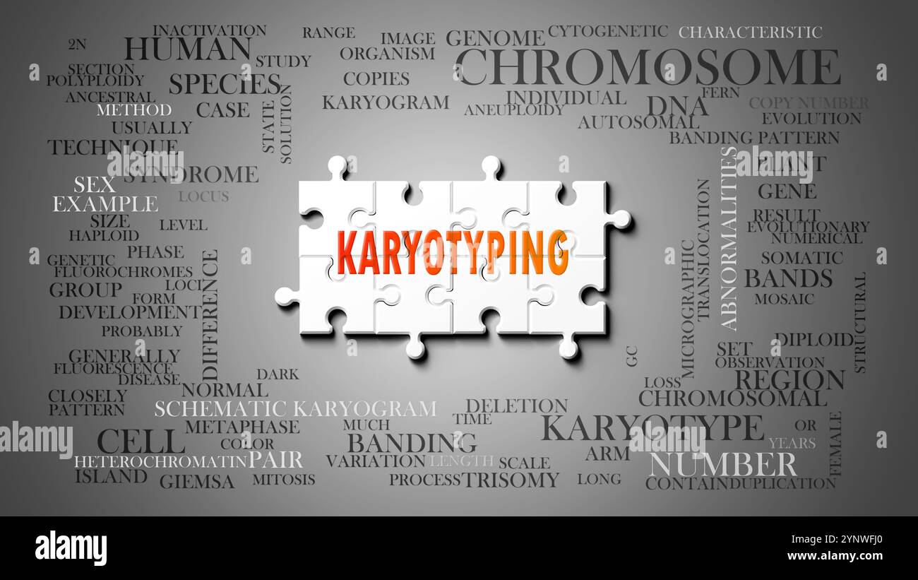 Karyotyping as a complex subject, related to important topics spreading ...