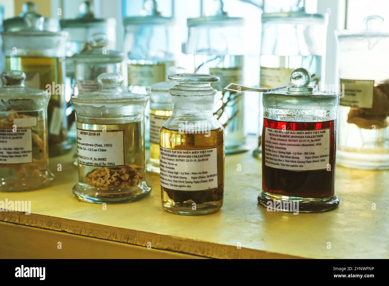 Formalin test tube hi-res stock photography and images - Alamy