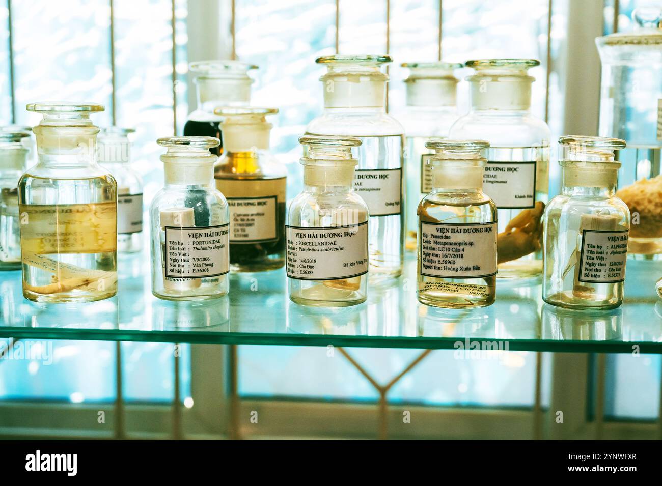 flasks and test tubes with samples on the shelf of a secret biochemical ...