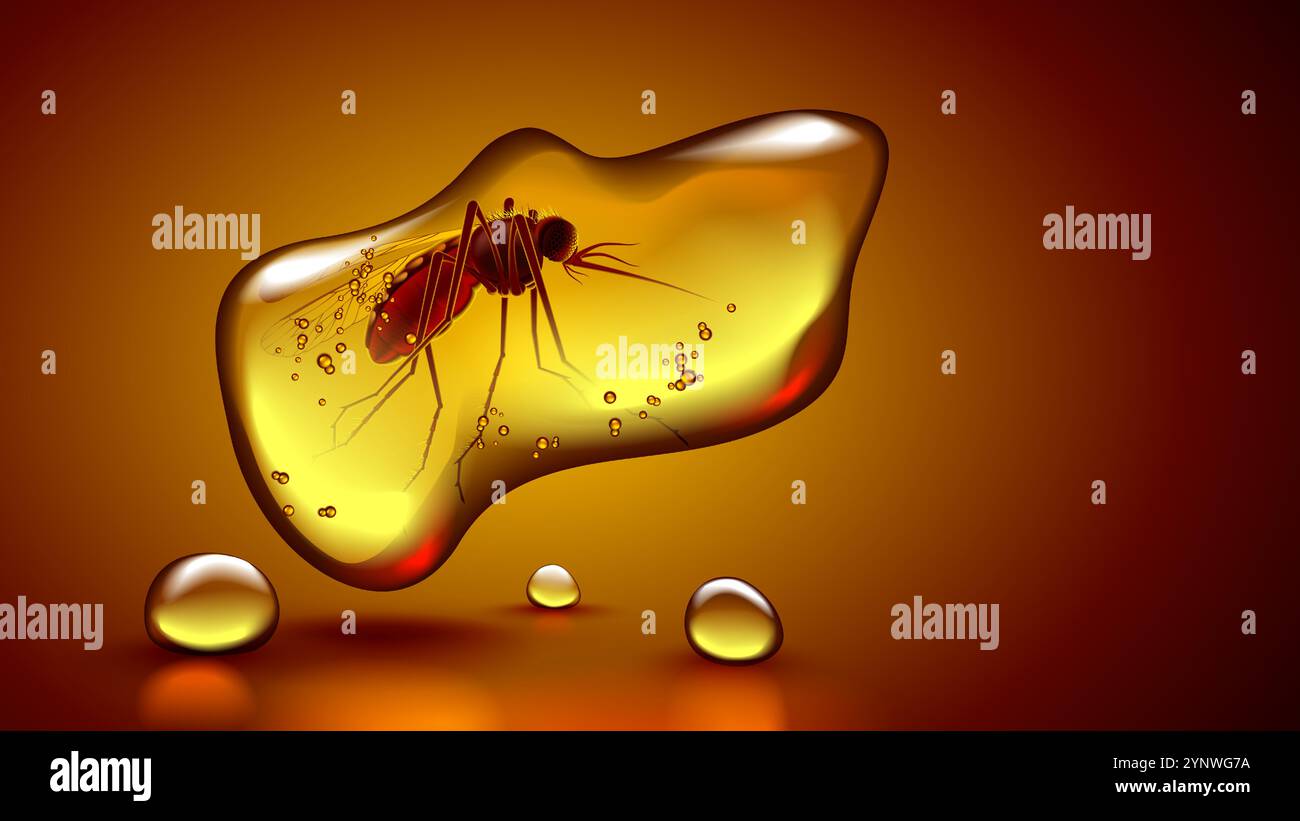 Fossil insect beetle Stock Vector Images - Alamy