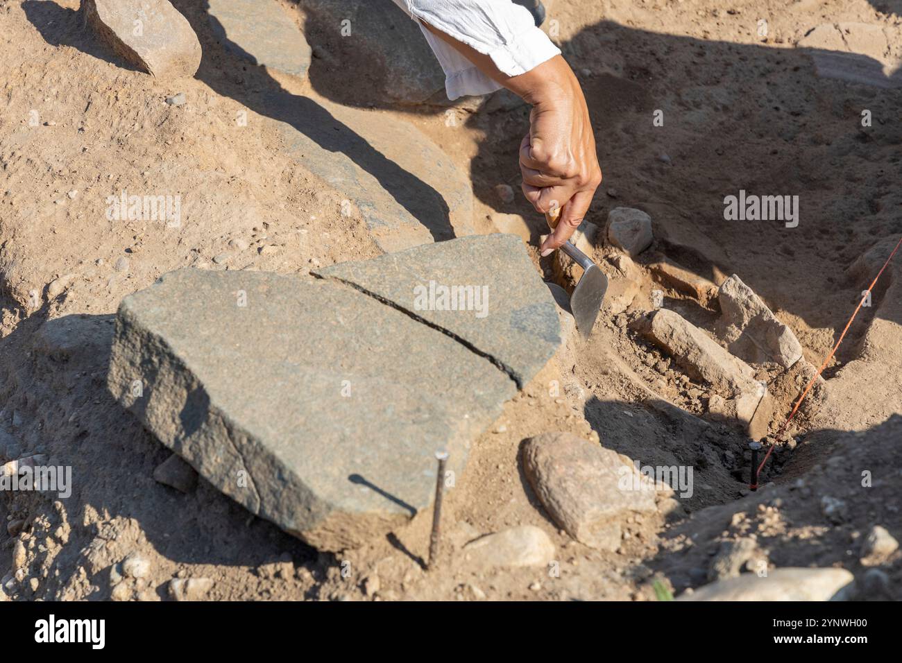 Archaeologists working hi-res stock photography and images - Alamy