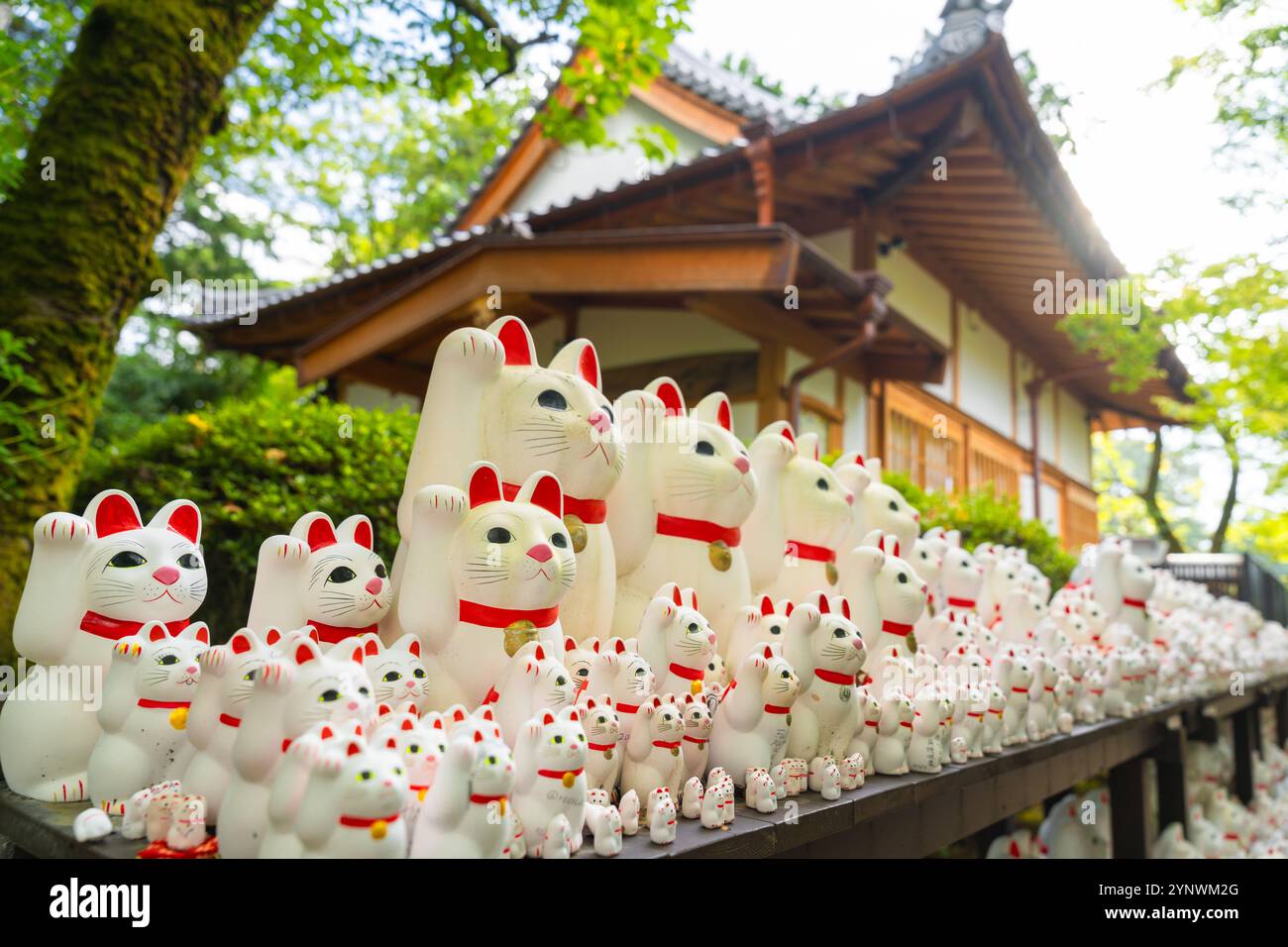 Gotoku-ji temple and Maneki-Neko cat shaped figurines Stock Photo - Alamy