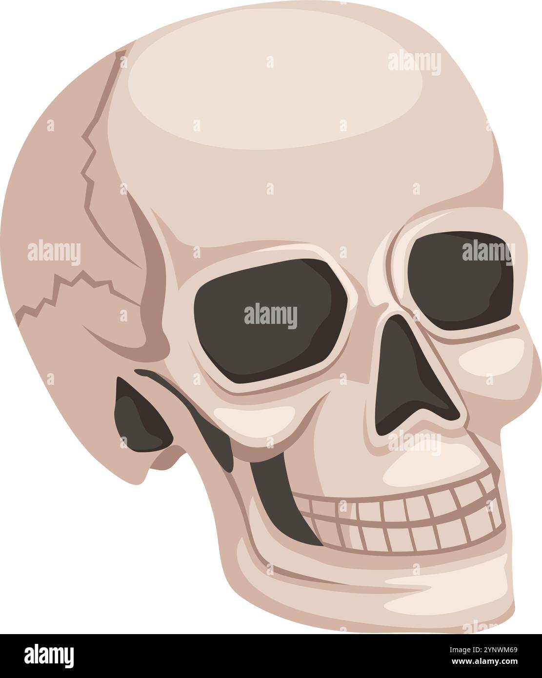 A cartoon skull with a smile on its face. The skull is white and has a ...