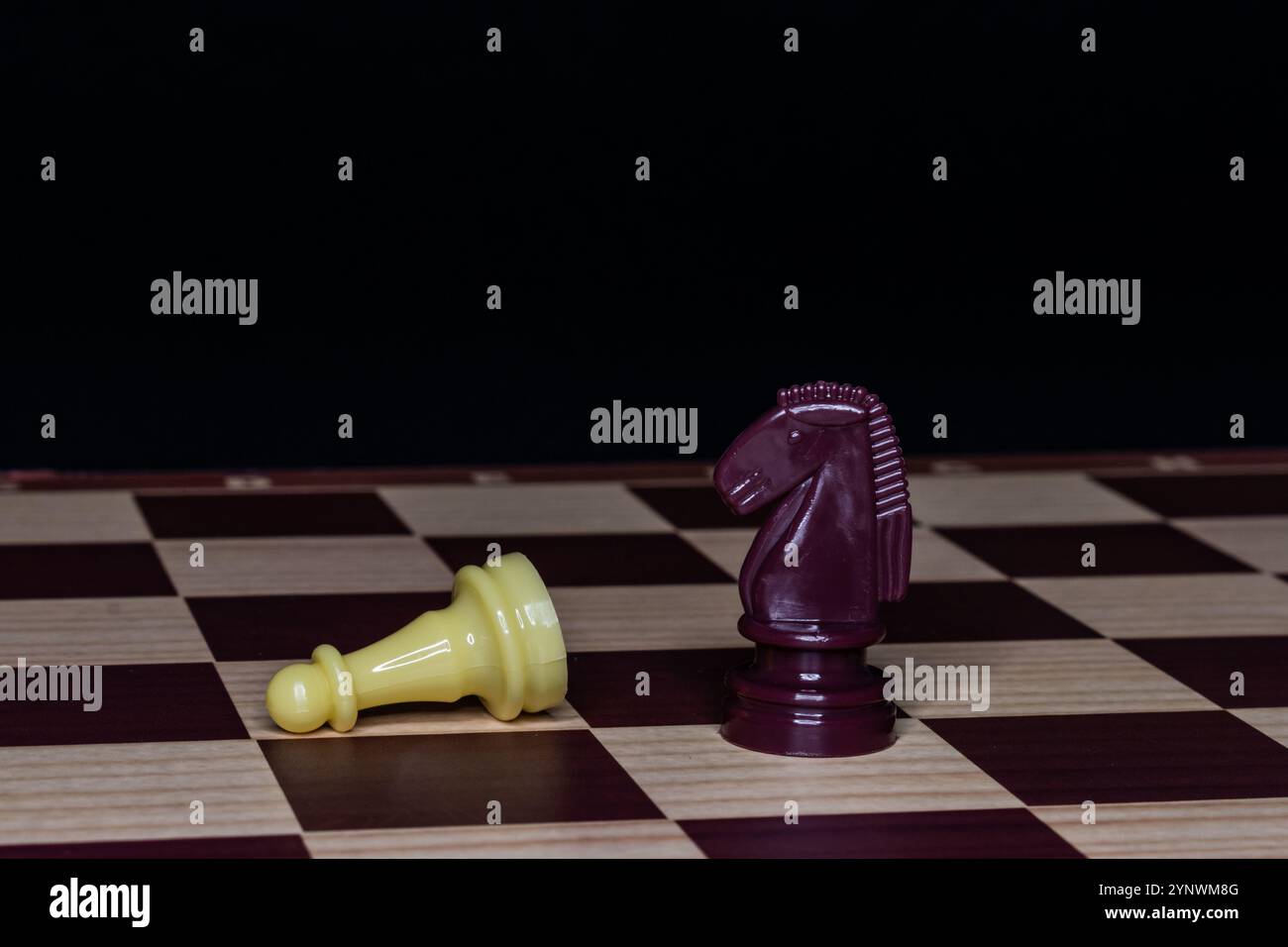 Black knight chess piece looking at defeated white pawn laying in the ...