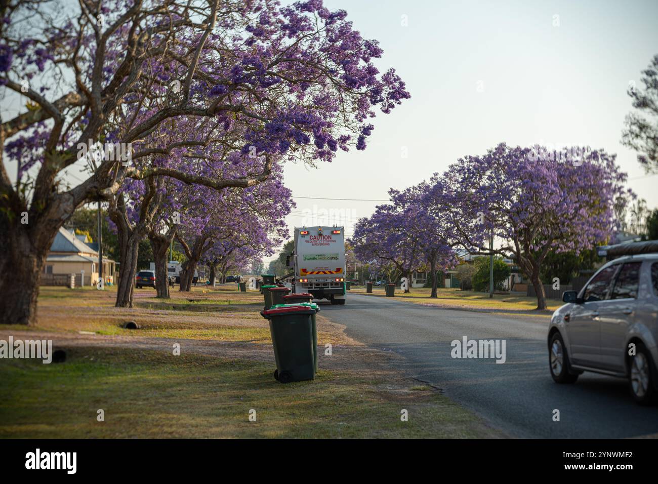 Purpletreeroad hi-res stock photography and images - Alamy