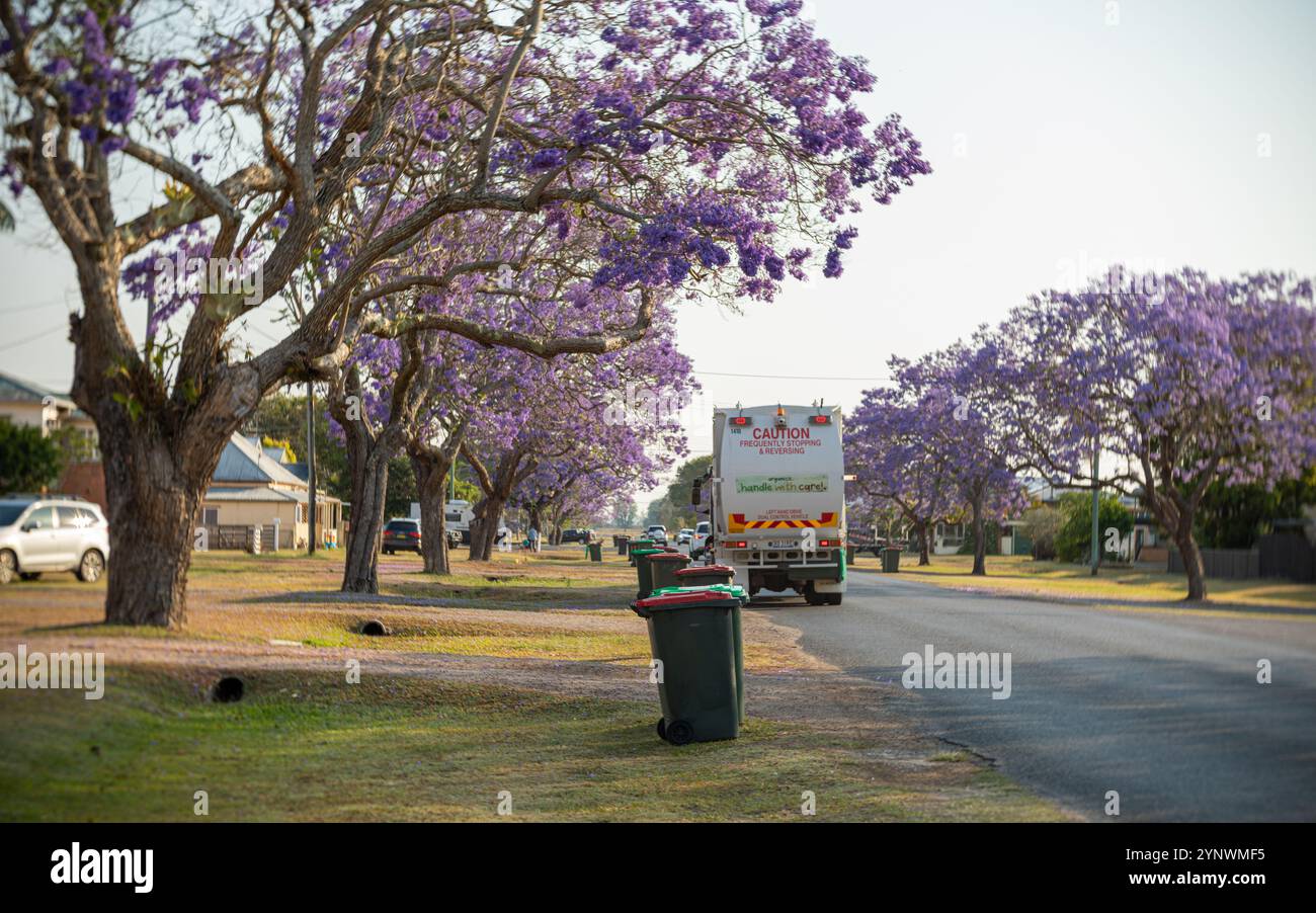 Lushpurpletree hi-res stock photography and images - Alamy