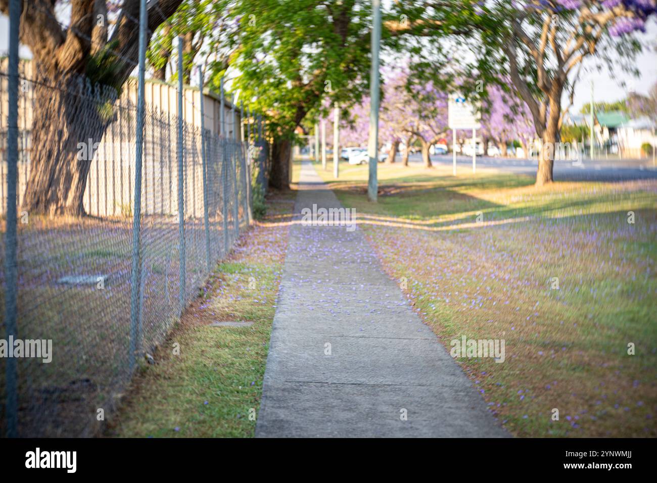 Mysteriouspathway hi-res stock photography and images - Alamy