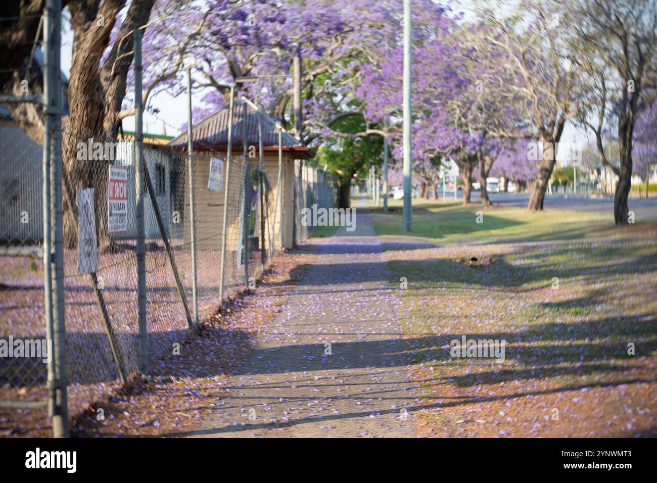 Purplealleyway hi-res stock photography and images - Alamy