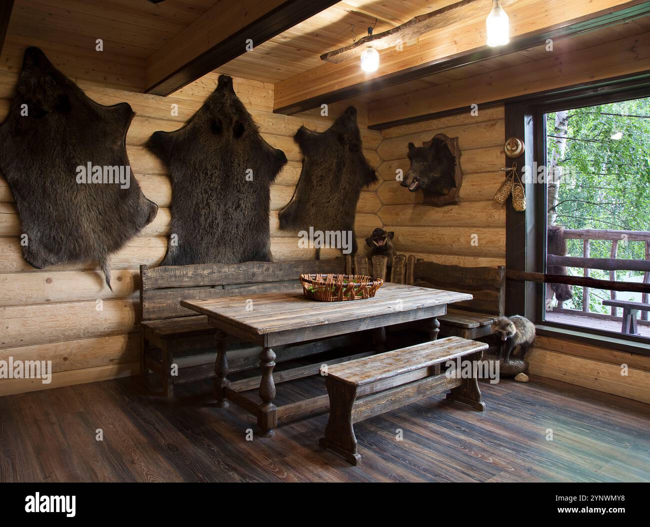 The interior of the hunter's house with the skins of wild boars hung on ...