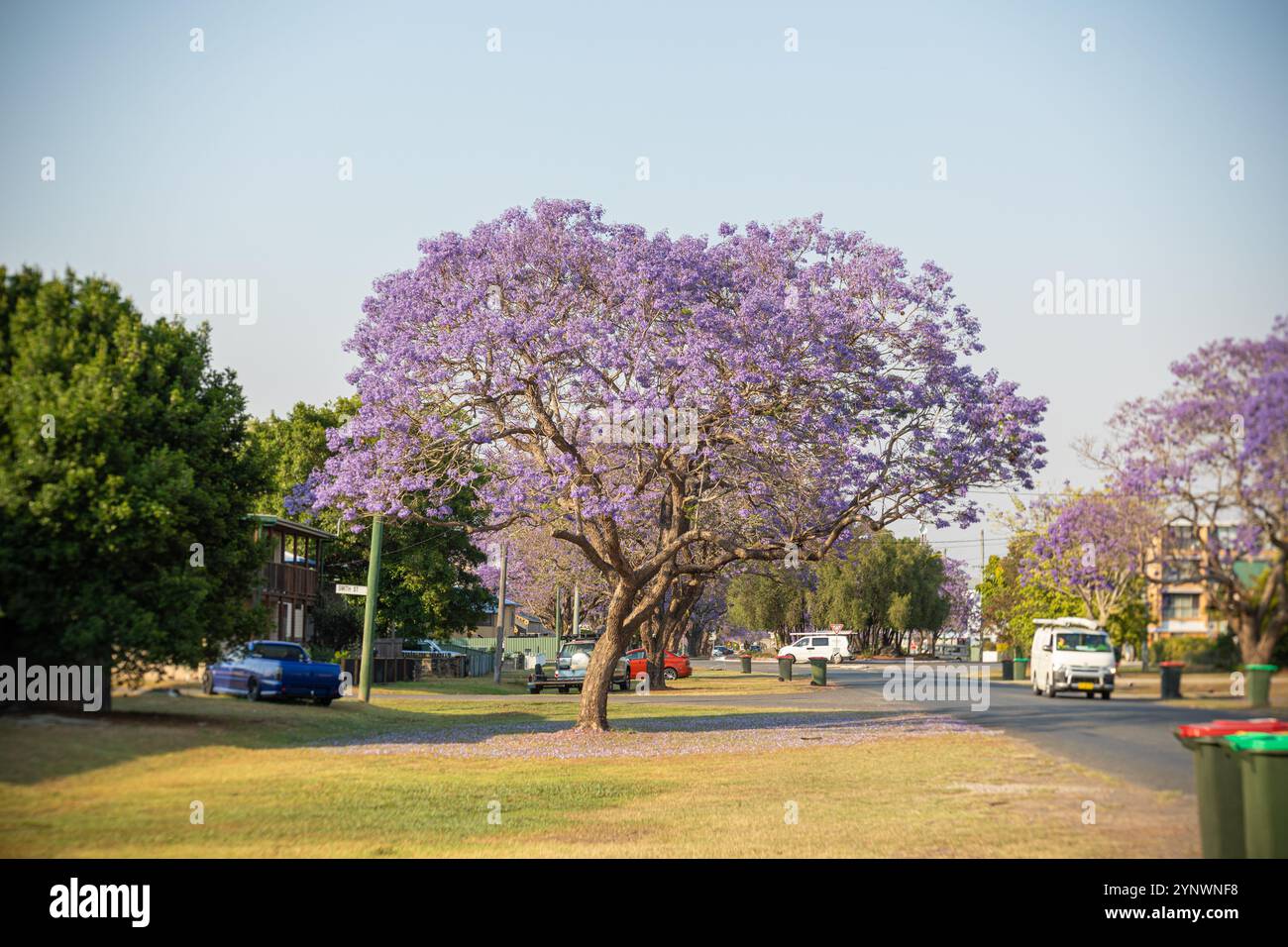 Purplealleyway hi-res stock photography and images - Alamy