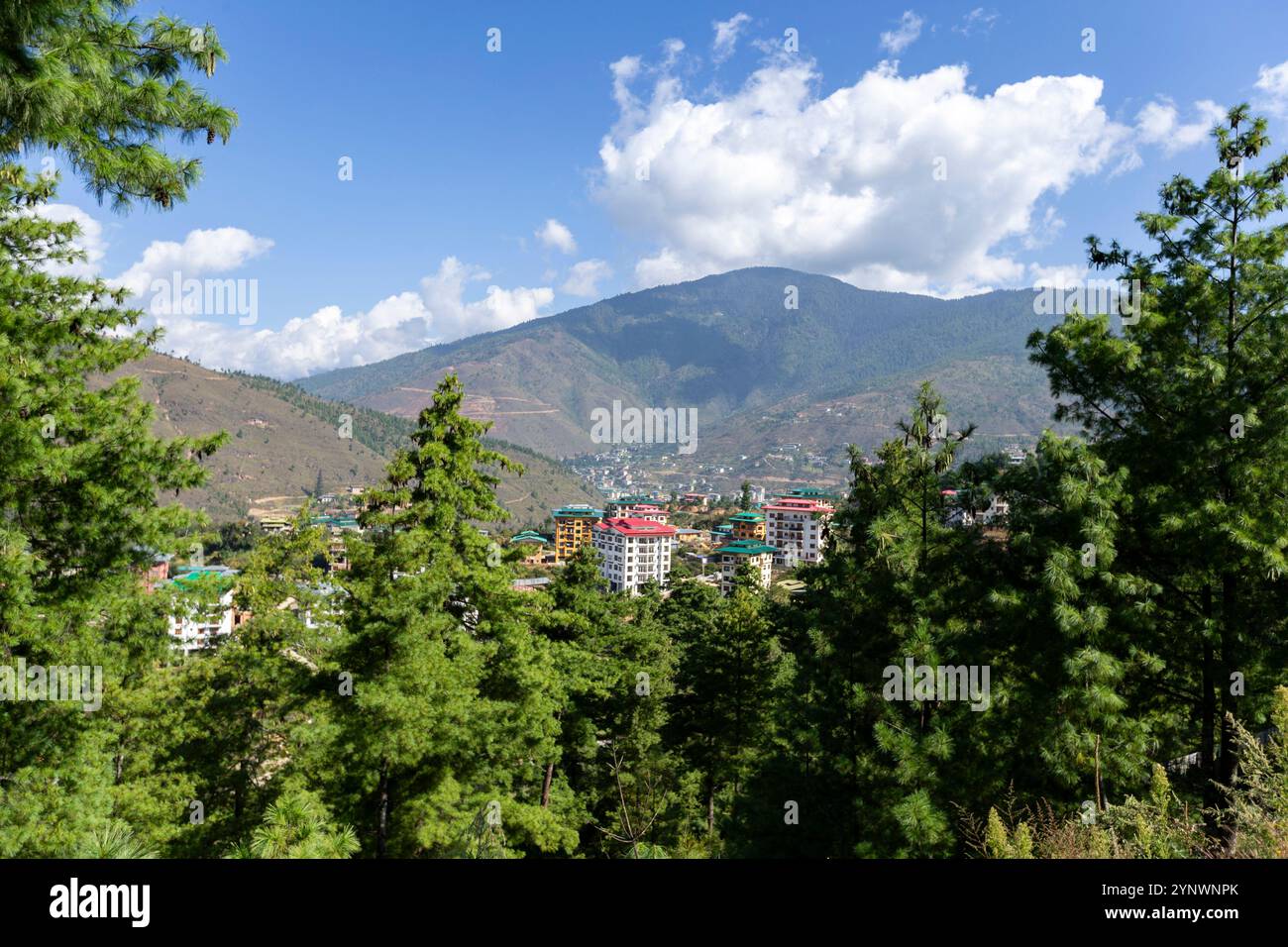 City's urban development, with rows of houses and buildings climbing up ...