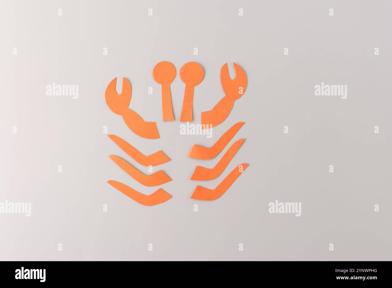 step in creative project, claws and legs made from orange paper, cut ...