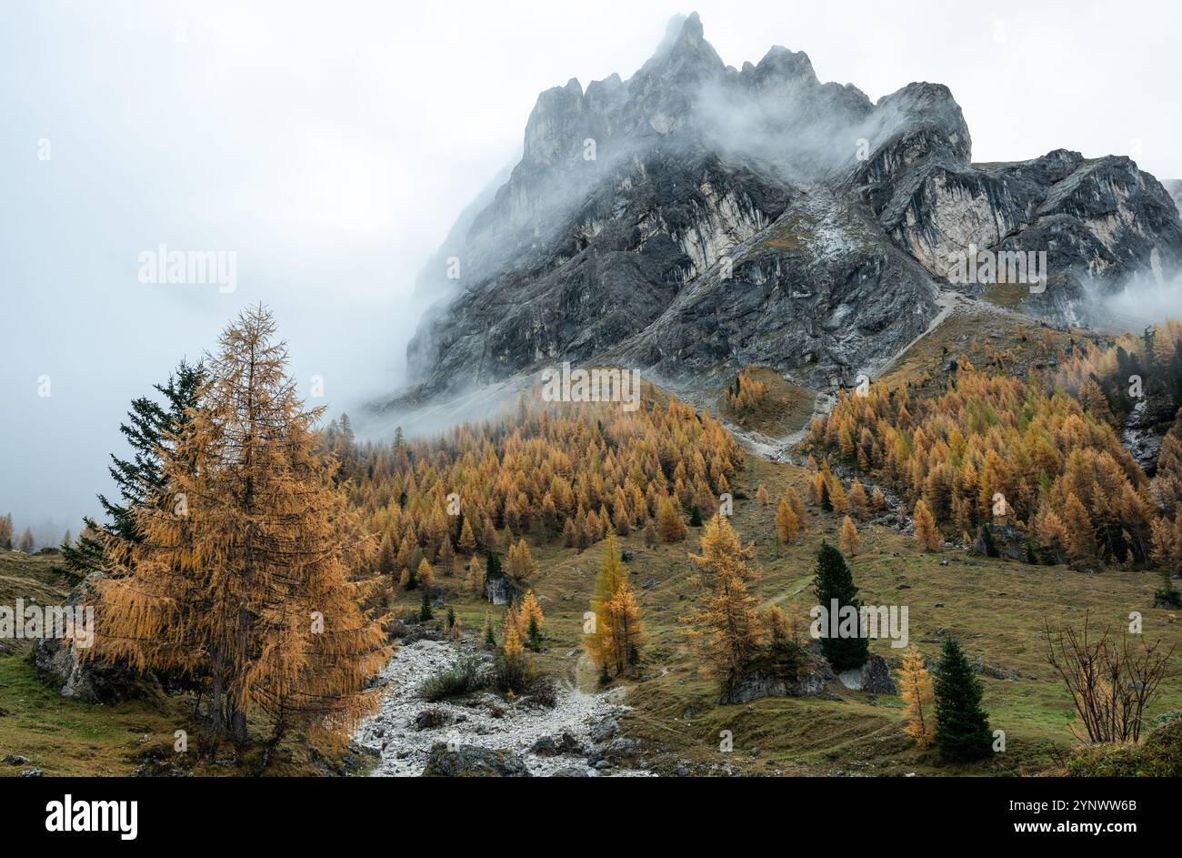 Dry creek bed in an autumn landscape high in Val Contrin in the ...