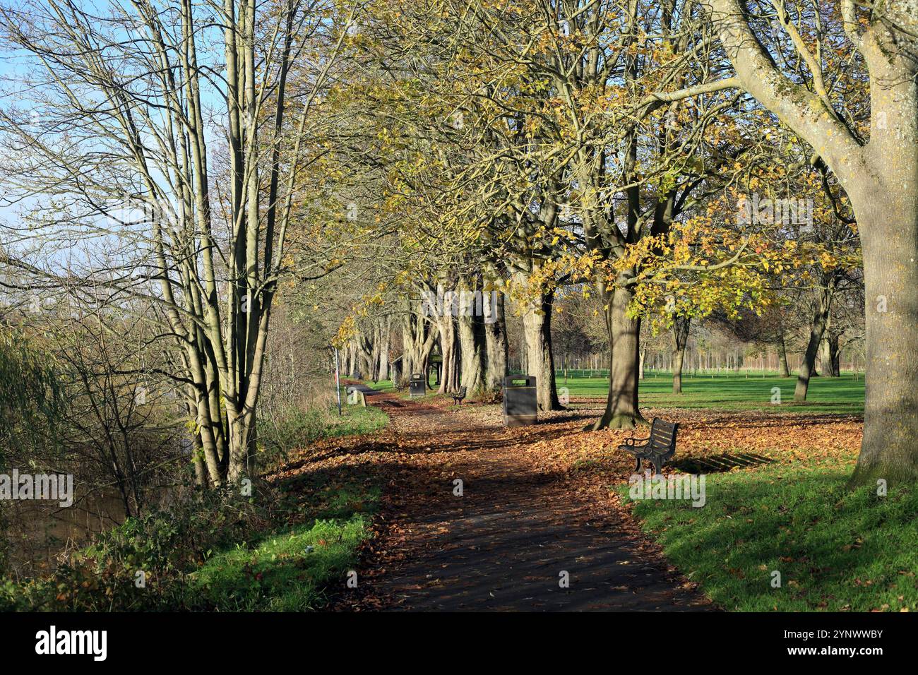 The Severn way footpath alongside the river Severn in Stourport on ...